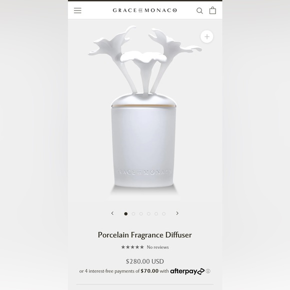 Other | Grace De Marco Porcelain Oil Diffuser | Poshmark